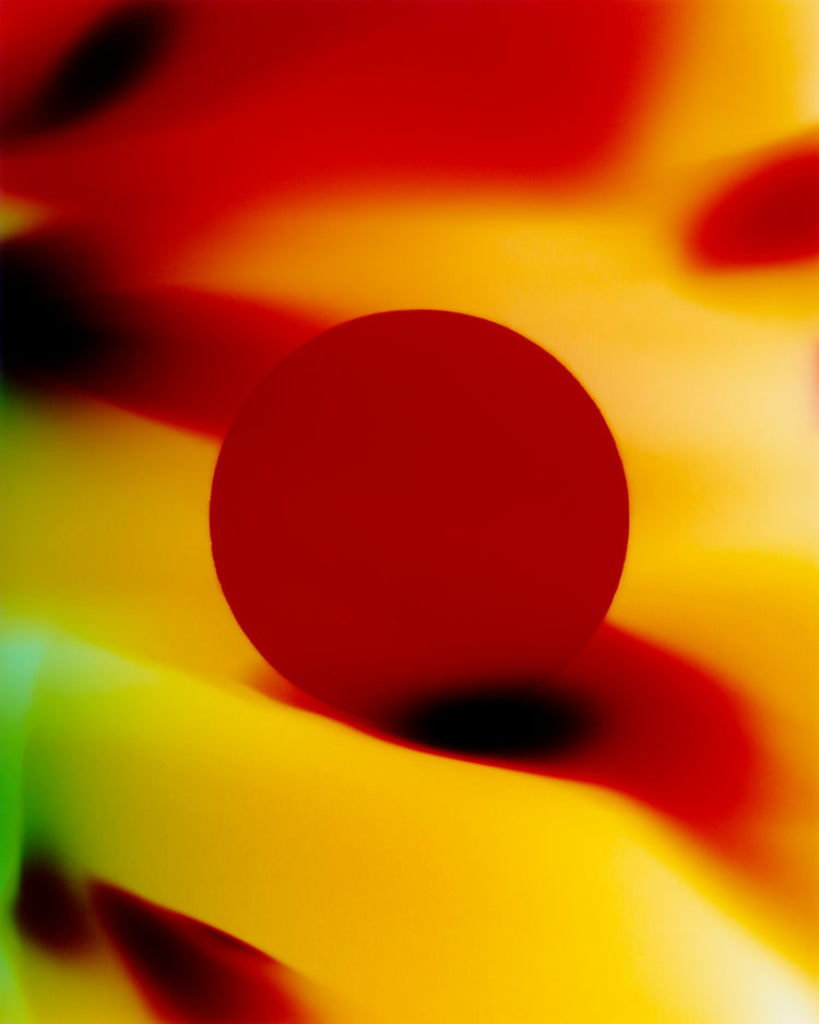 Radiant Solitude—Luke Foley-Martin